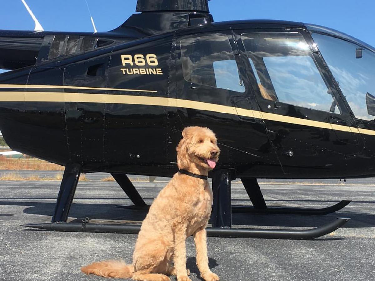 Prestige Helicopters, Inc. | Helicopter Rides in Atlanta, Georgia
